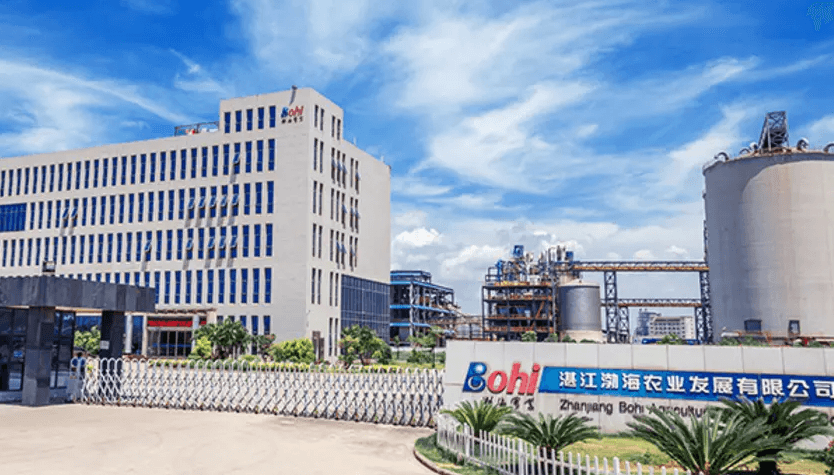 Low Nitrogen Burner Project for Zhanjiang Bohai Agricultural 50 t/h Gas Boiler - EBICO Burner