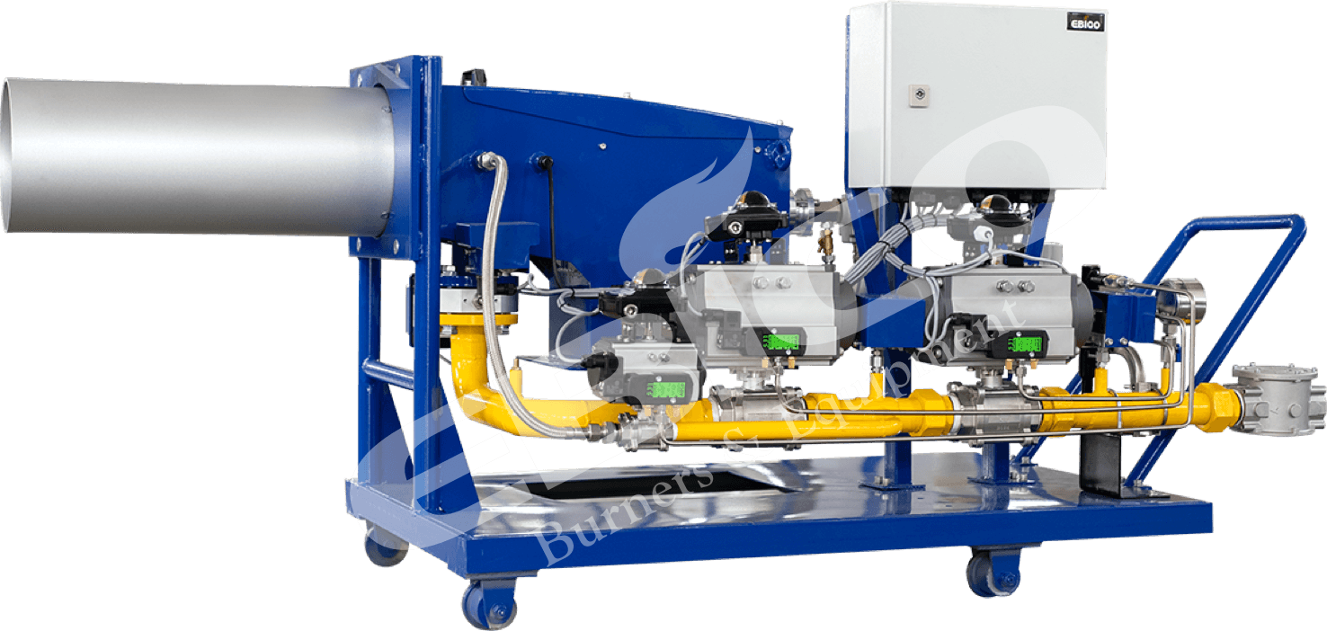 What is the Fuel Used in Biomass Burners? - EBICO Burner