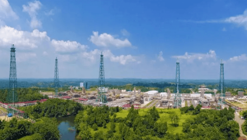 Sichuan CNPC 55-ton Natural Gas Unit Supporting Low Nitrogen Burner ...