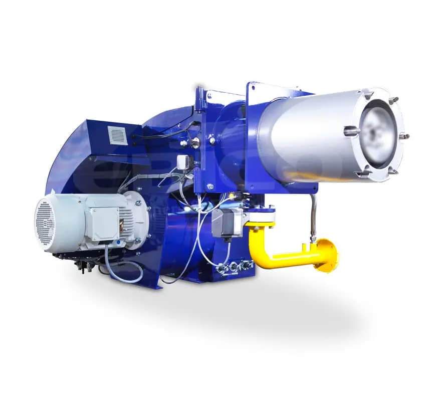 Advantages of Structural Design of Biogas Boiler - EBICO Burner